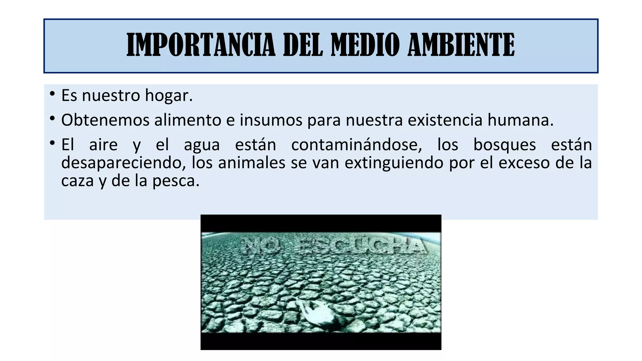 El medio ambiente-Taller de power point | PPT