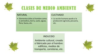 El medio ambiente-Taller de power point | PPT