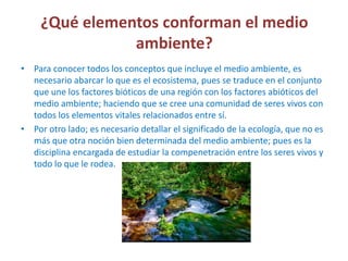 El medio ambiente | PPTX