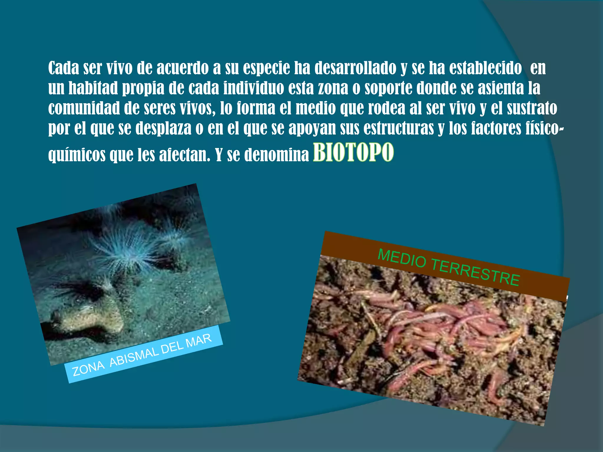El medio ambiente y su relación con los seres vivos; presentacion | PPTX