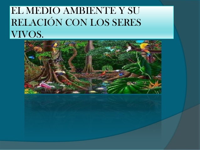 El Medio Ambiente Y La Relacin Con Los Seres Vivos By El Medio