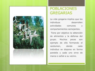 El medio ambiente y su relaciòn con los Seres Vivos | PPTX