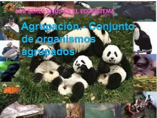 El medio ambiente y su relacion con los seres vivos. | PPTX ...