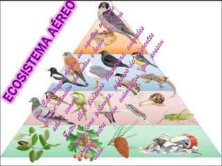 El medio ambiente y su relacion con los seres vivos. | PPTX ...