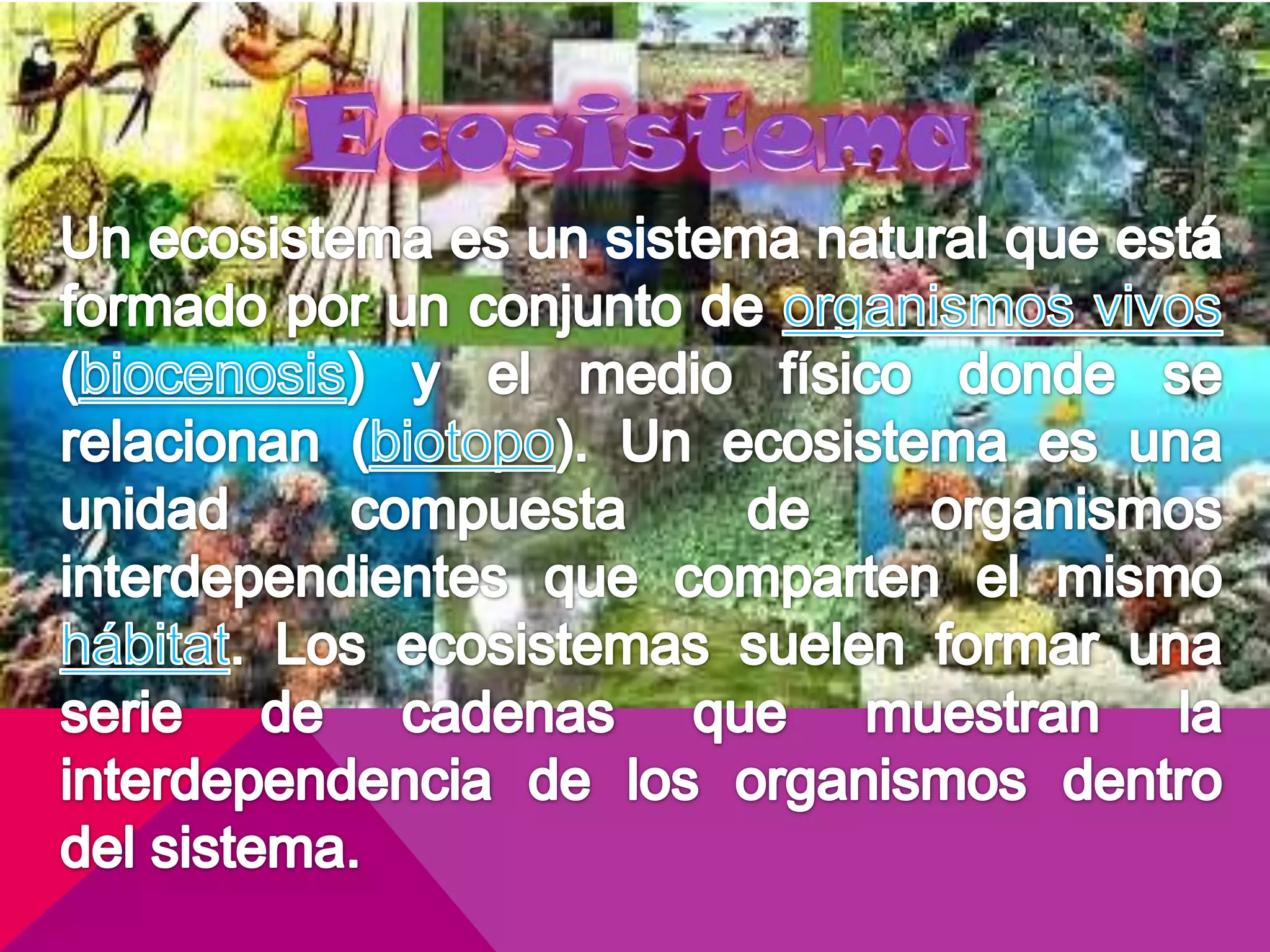 El medio ambiente y su relacion con los seres vivos. | PPT