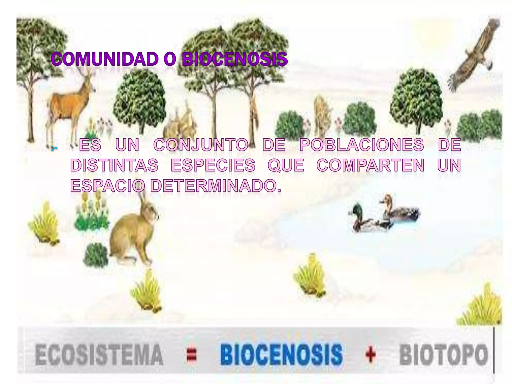 El medio ambiente y su relacion con los seres vivos. | PPT