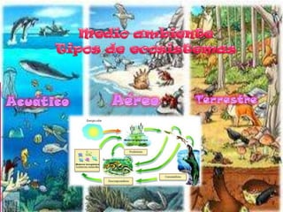 El medio ambiente y su relacion con los seres vivos. | PPTX