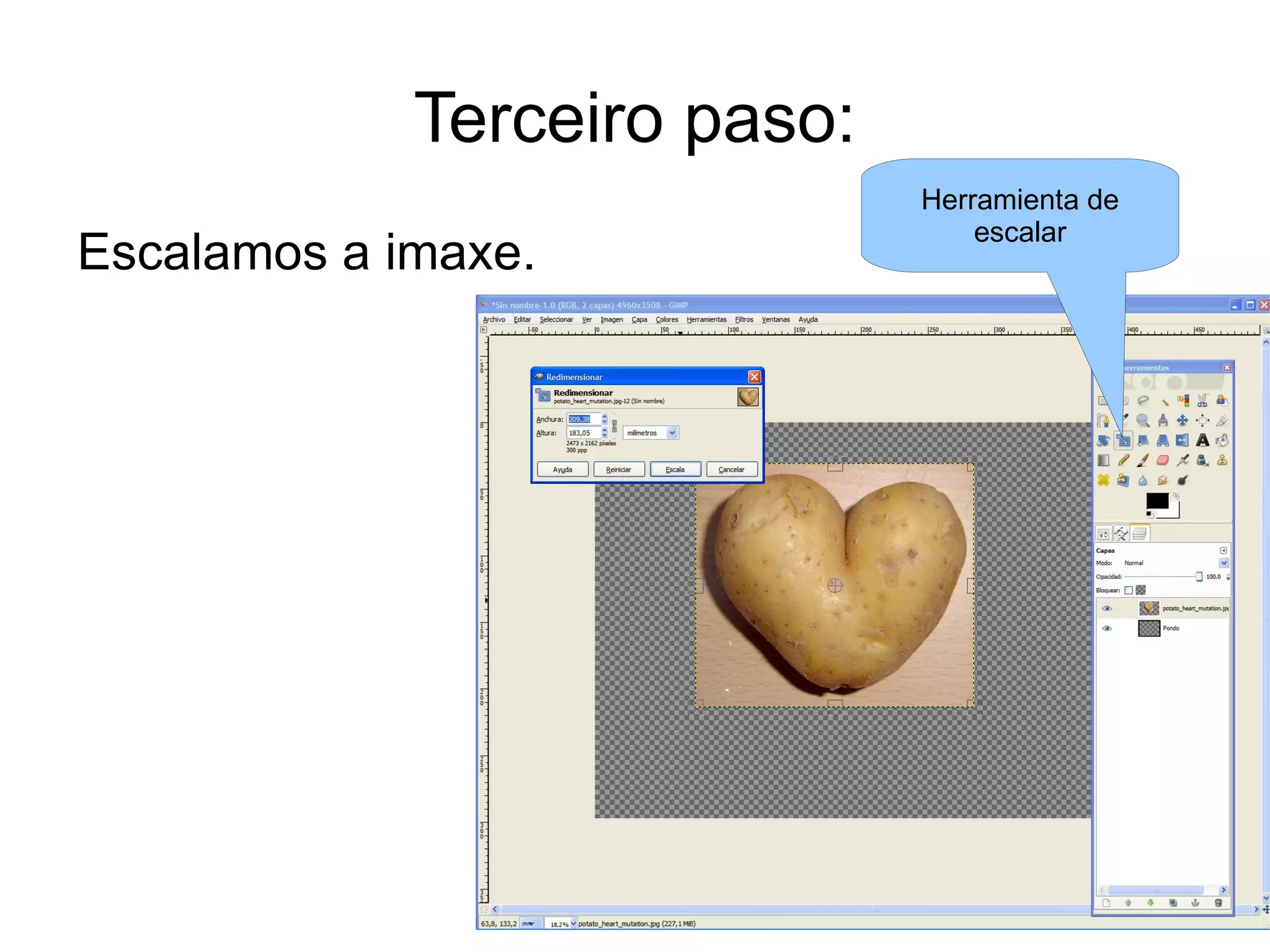 El mejor potato | ODP