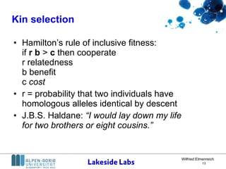 Evolution as a Tool for Understanding and Designing Collaborative ...