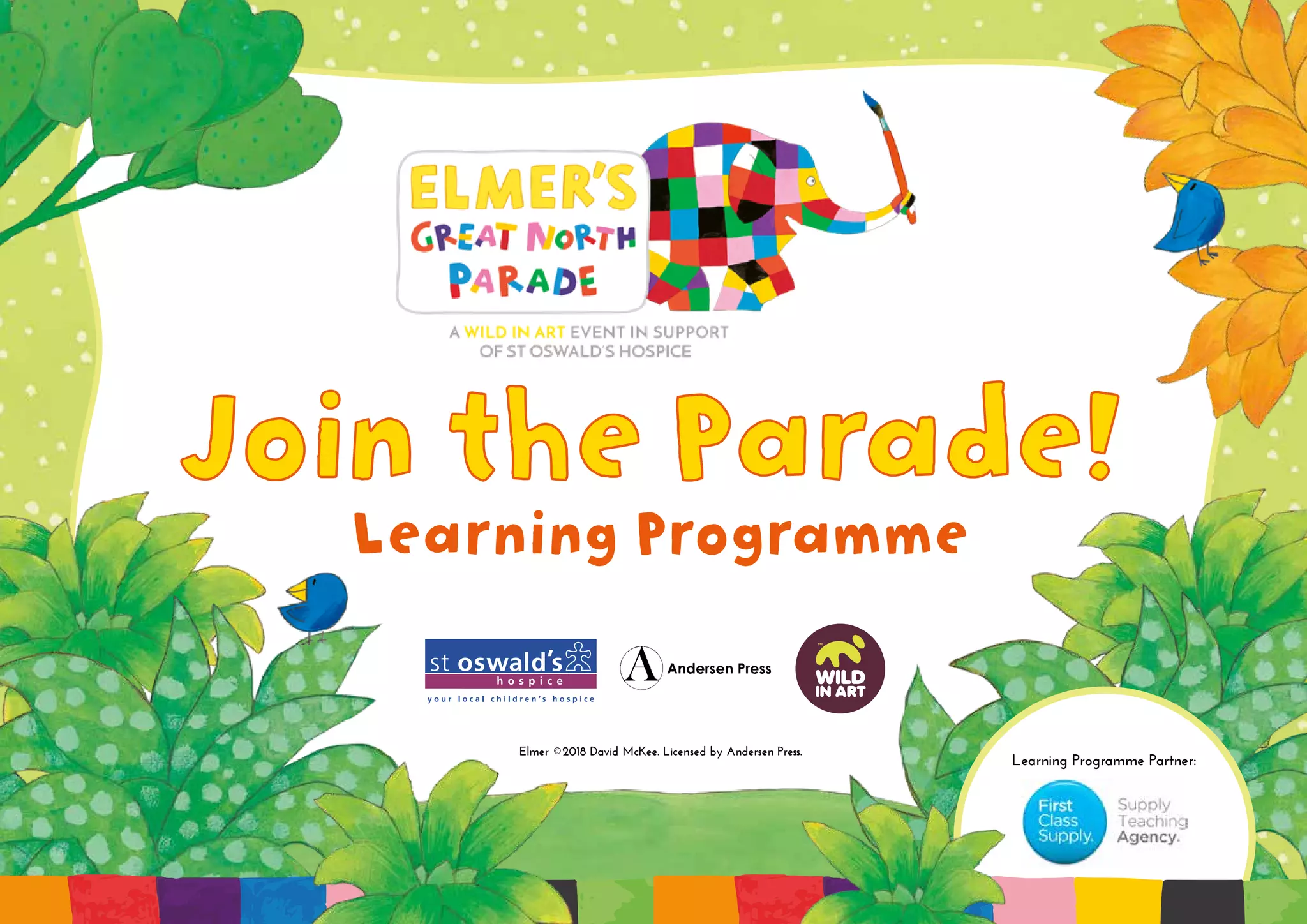 Elmer's Learning Programme | PDF