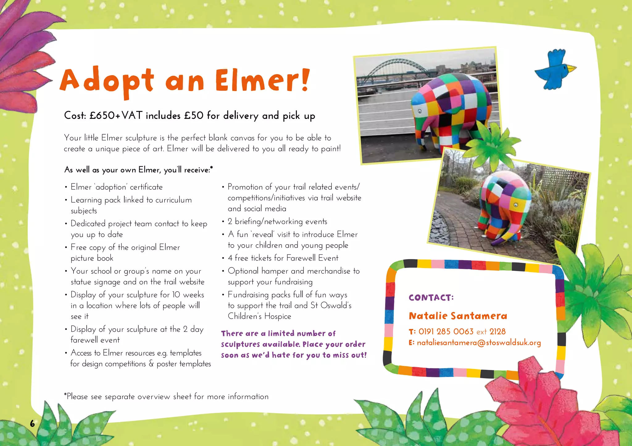 Elmer's Learning Programme | PDF