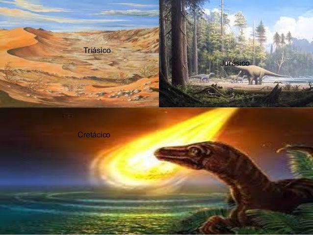 Mesozoico Park Stash