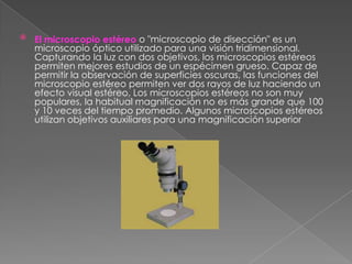 Elmicroscopio 130801172754-phpapp01 | PPTX