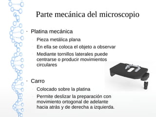 El microscopio | PDF