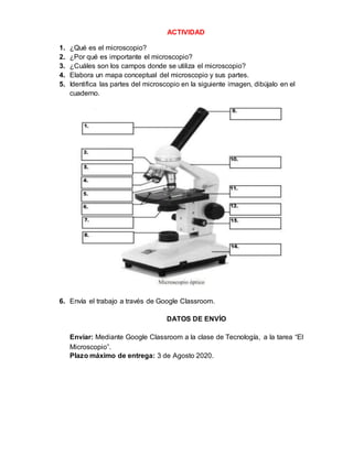 El microscopio | DOCX