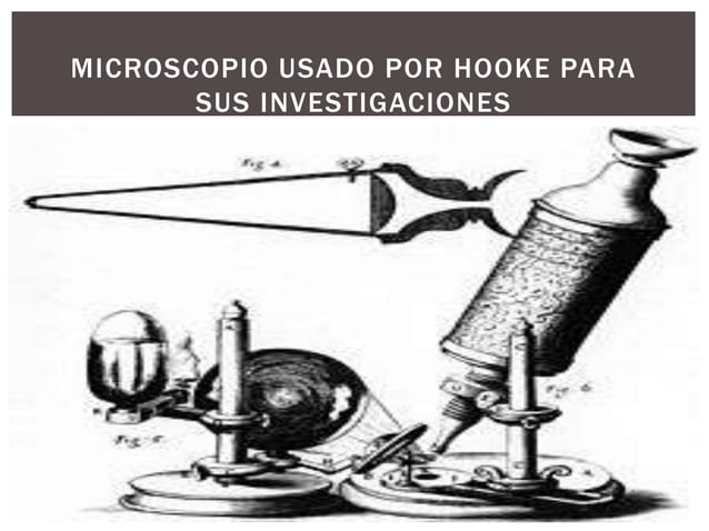 El microscopio de roberth hooke en 1665 | PPTX | Biological Sciences ...
