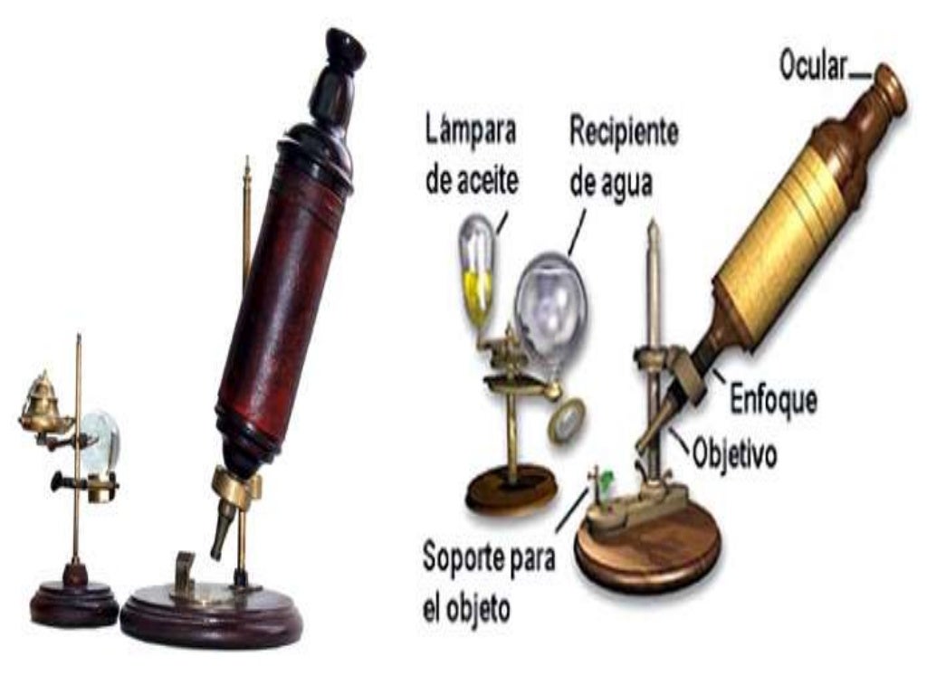 El microscopio de roberth hooke en 1665