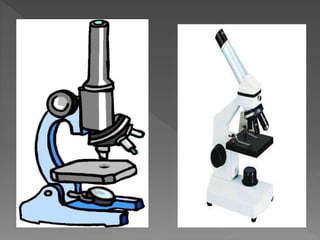 El microscopio power point | PPTX