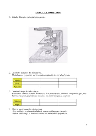 Las Principales Partes Del Microscopio Y Sus Funciones | atelier-yuwa ...