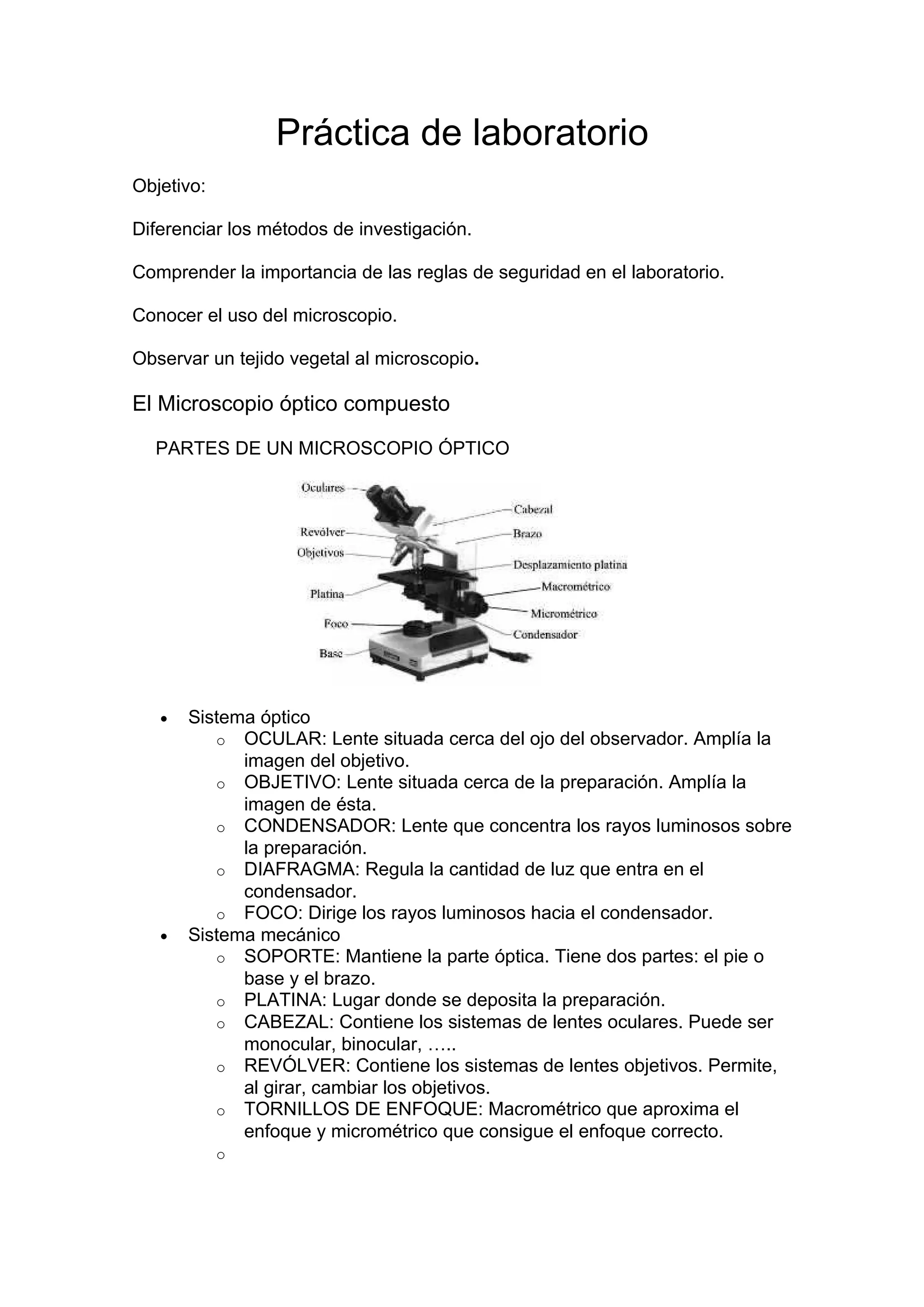 El microscopio óptico compuesto | DOC