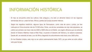 el mijo, origen, produccion ppt - ca.pptx
