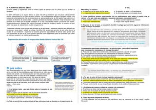 LECTURAS PARA TRABAJAR COMPRENSIÓN DE TEXTOS | DOCX