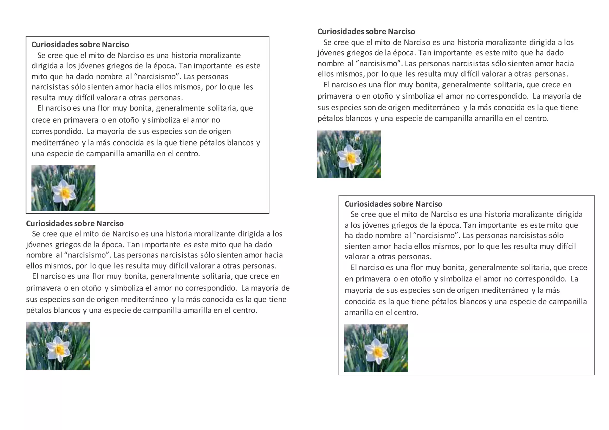 El mito de Narciso.docx