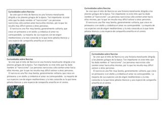 El mito de Narciso.docx