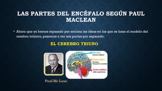 El modelo de los tres cerebros, reptiliano, límbico y neocortex | PPTX
