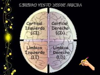 El modelo de los cuadrantes cerebrales de herrmann | PPTX