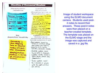 Elmo Document Camera Presentation | PPT | Cameras and Camcorders ...