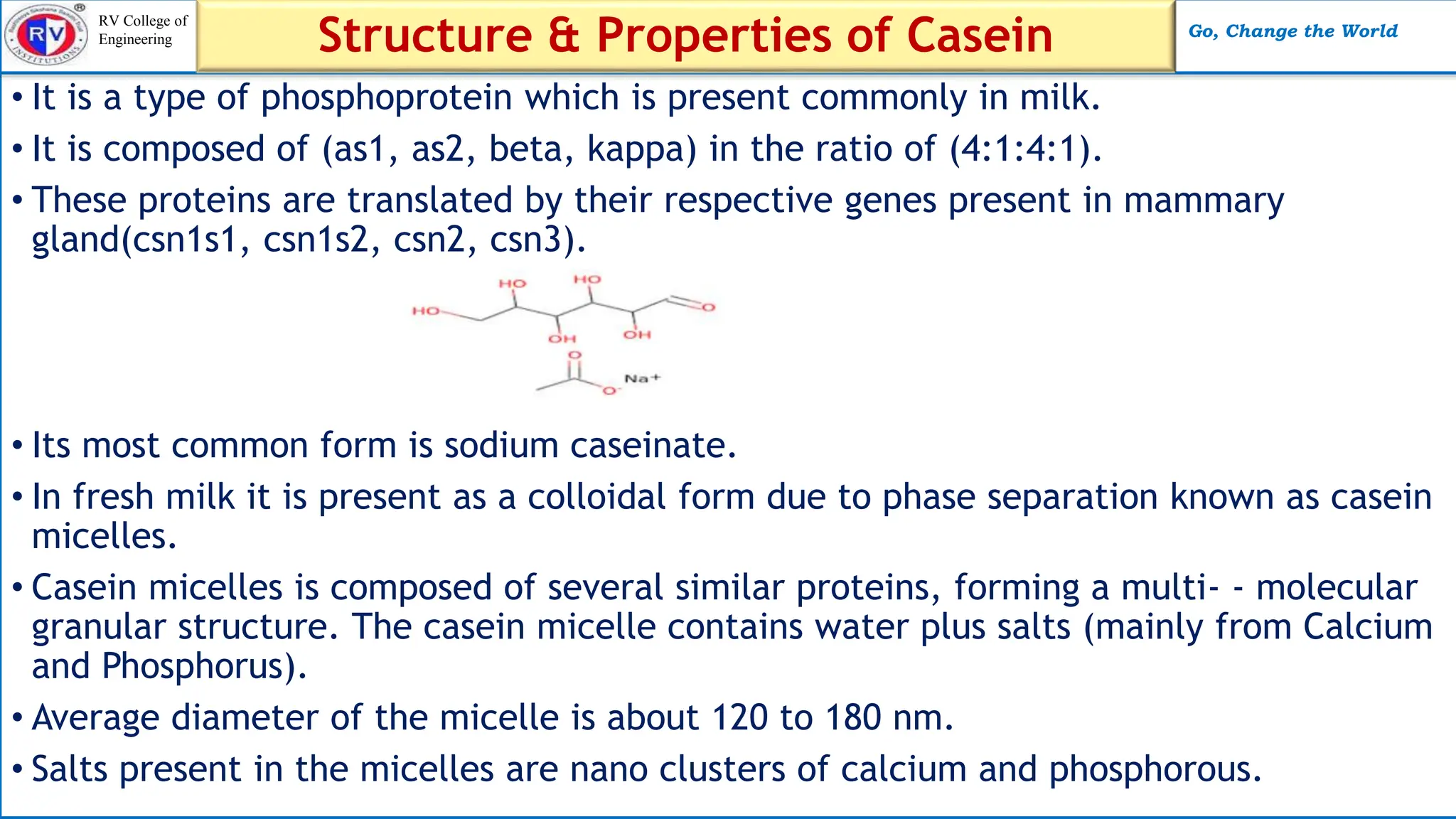 Experiential learning molecular bio ppt.pptx