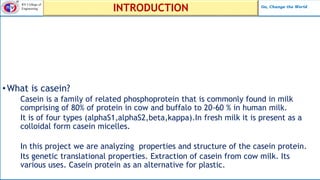 Experiential learning molecular bio ppt.pptx