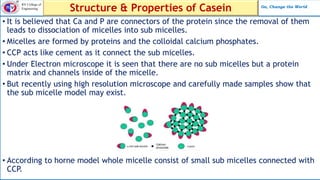 Experiential learning molecular bio ppt.pptx