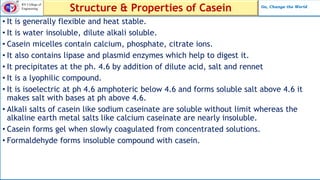 Experiential learning molecular bio ppt.pptx