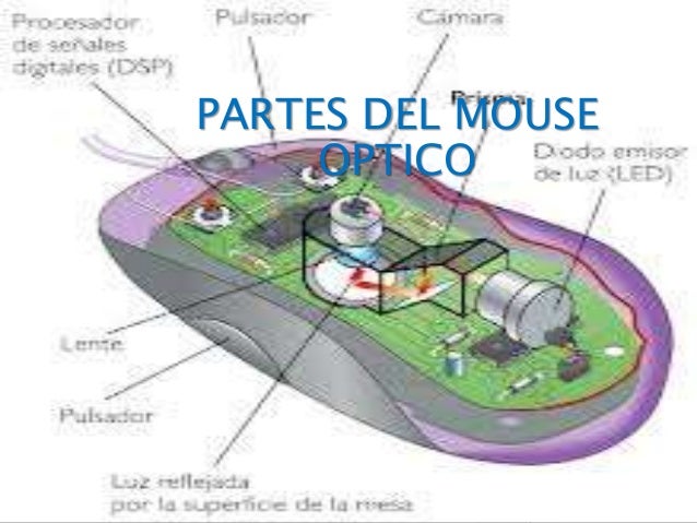 El mouse