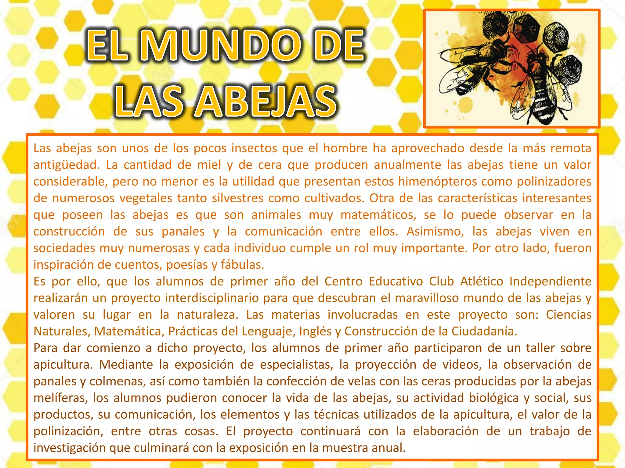 El mundo de las abejas 1er año | PDF