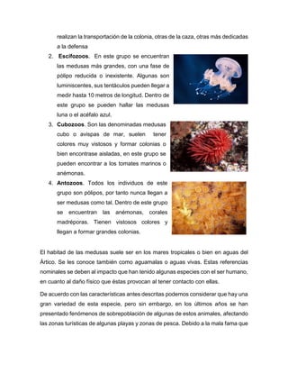 El mundo de las medusas | PDF