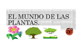 El mundo de las plantas | PPTX