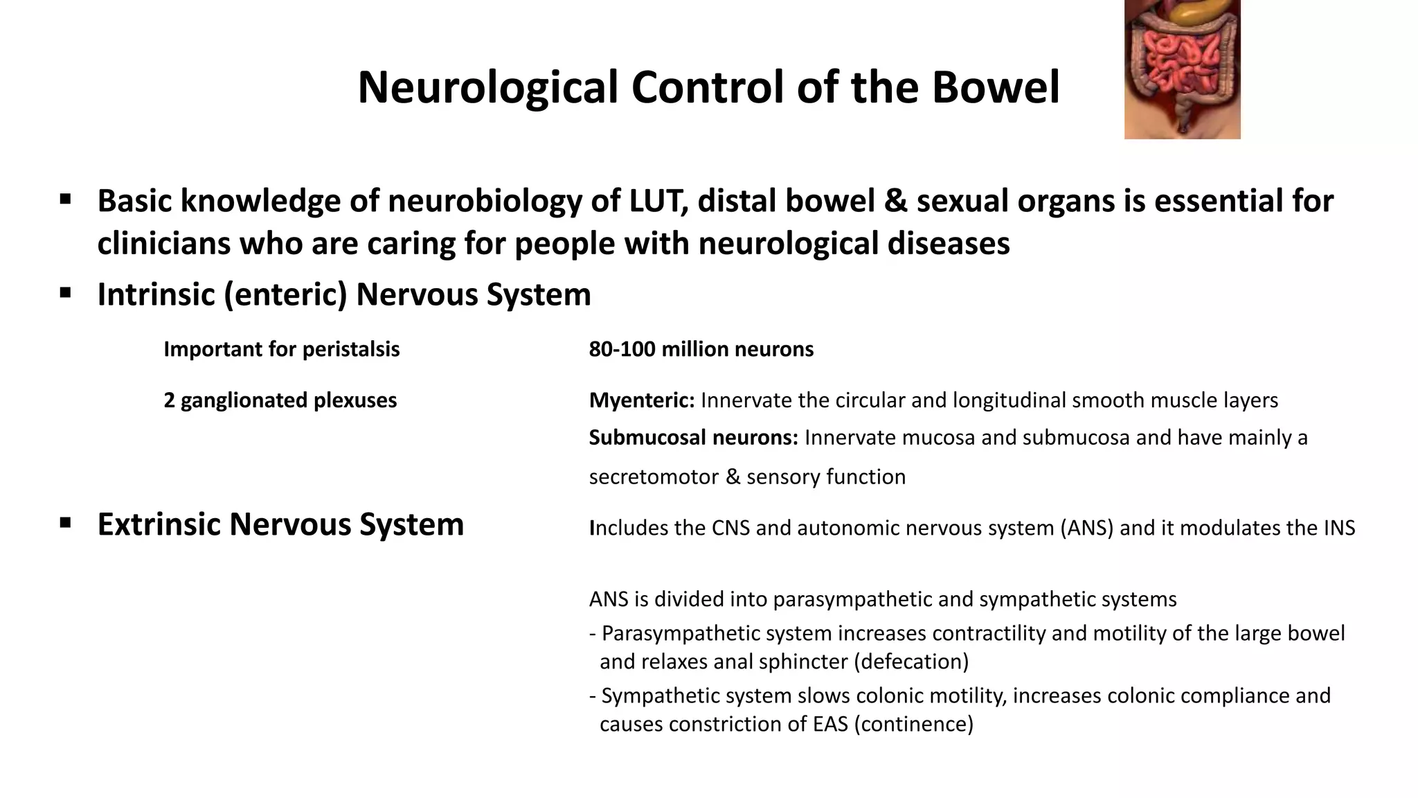Neurological Disorders of the Bladder & Pelvic Floor - A Holistic ...