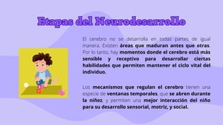 El Neurodesarrollo.pdf