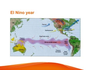 El nino | PPT