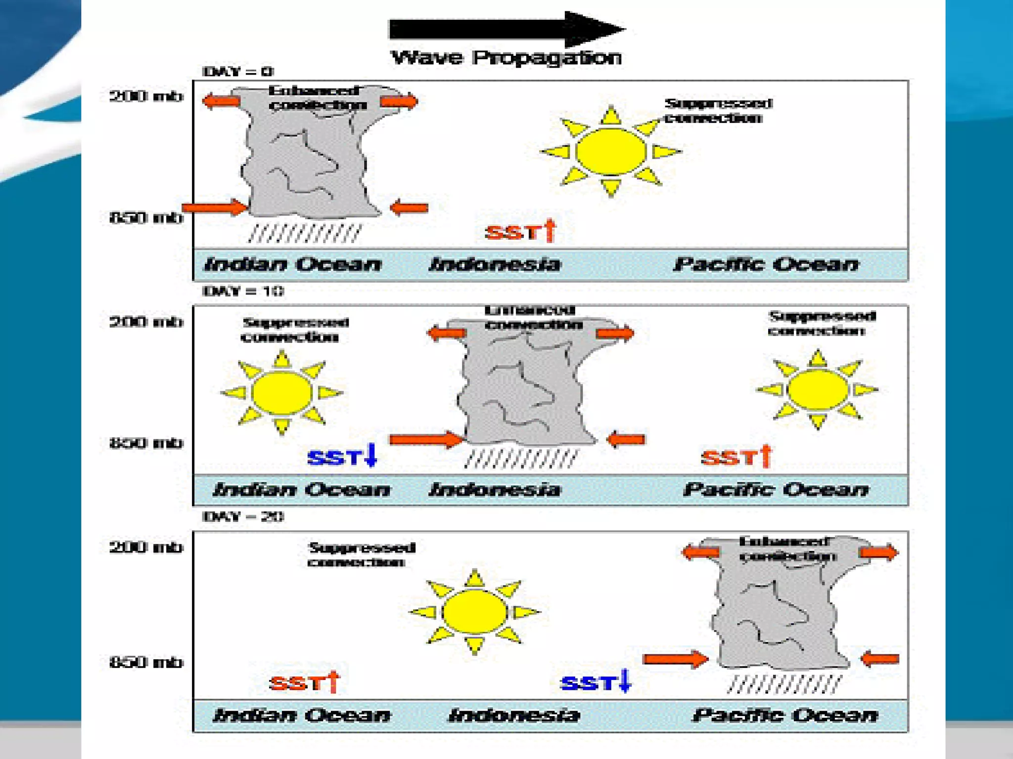 El nino and La nina | PPT