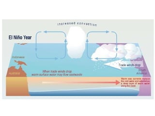 El nino powerpoint | PPT