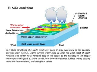 El Niño.pptx
