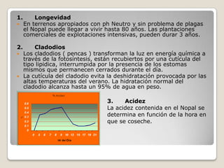 El nopal | PPTX