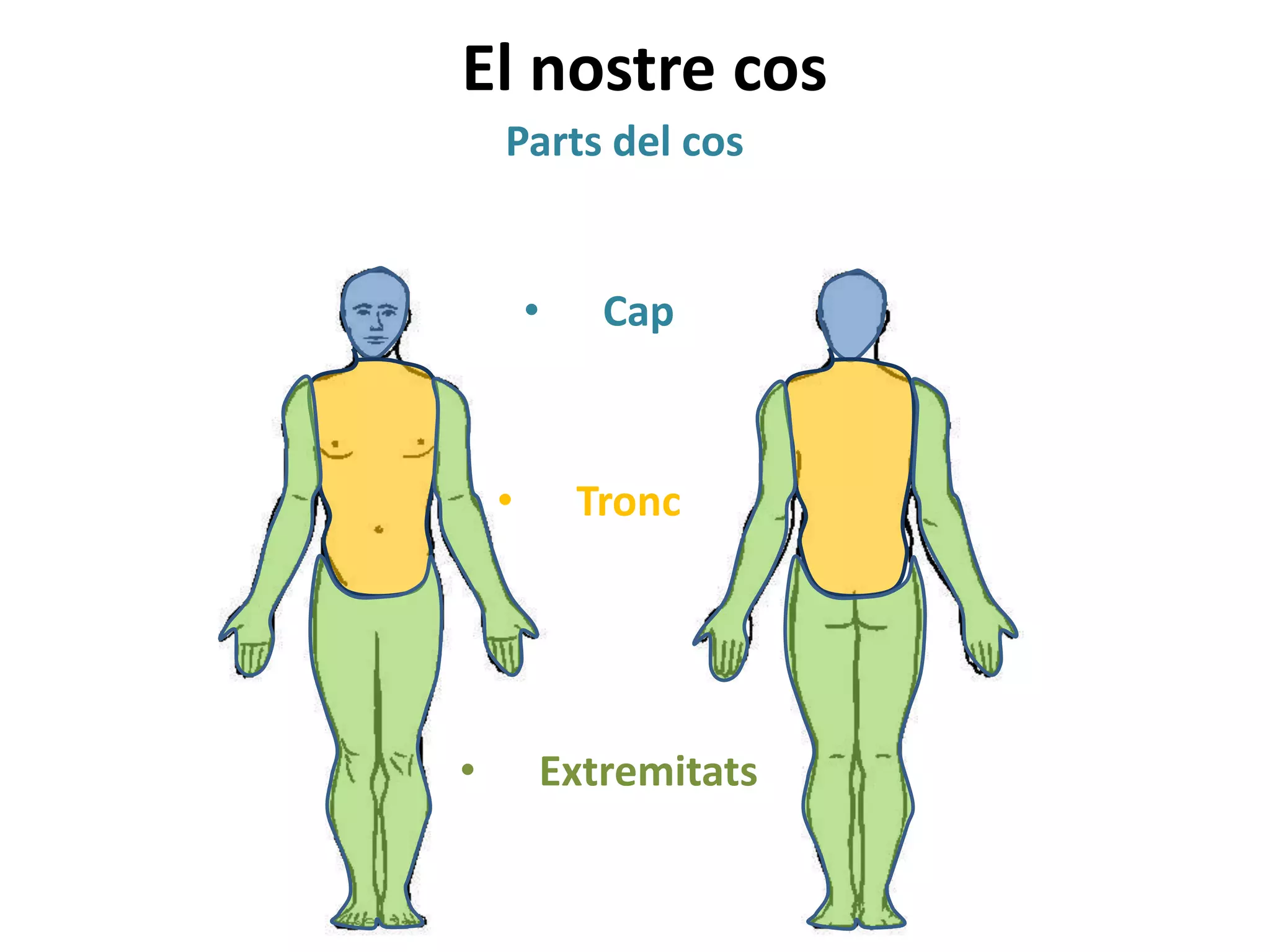 El nostre cos (Resum principi Tema) | PPTX