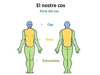 El nostre cos (Resum principi Tema) | PPT