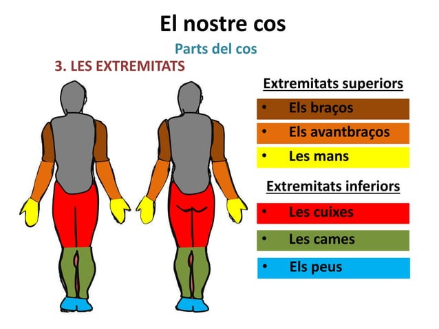 El nostre cos (Resum principi Tema) | PPT