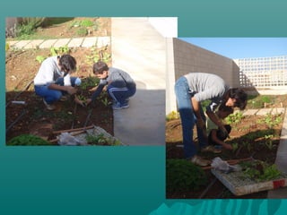 El nostre hort | PPT